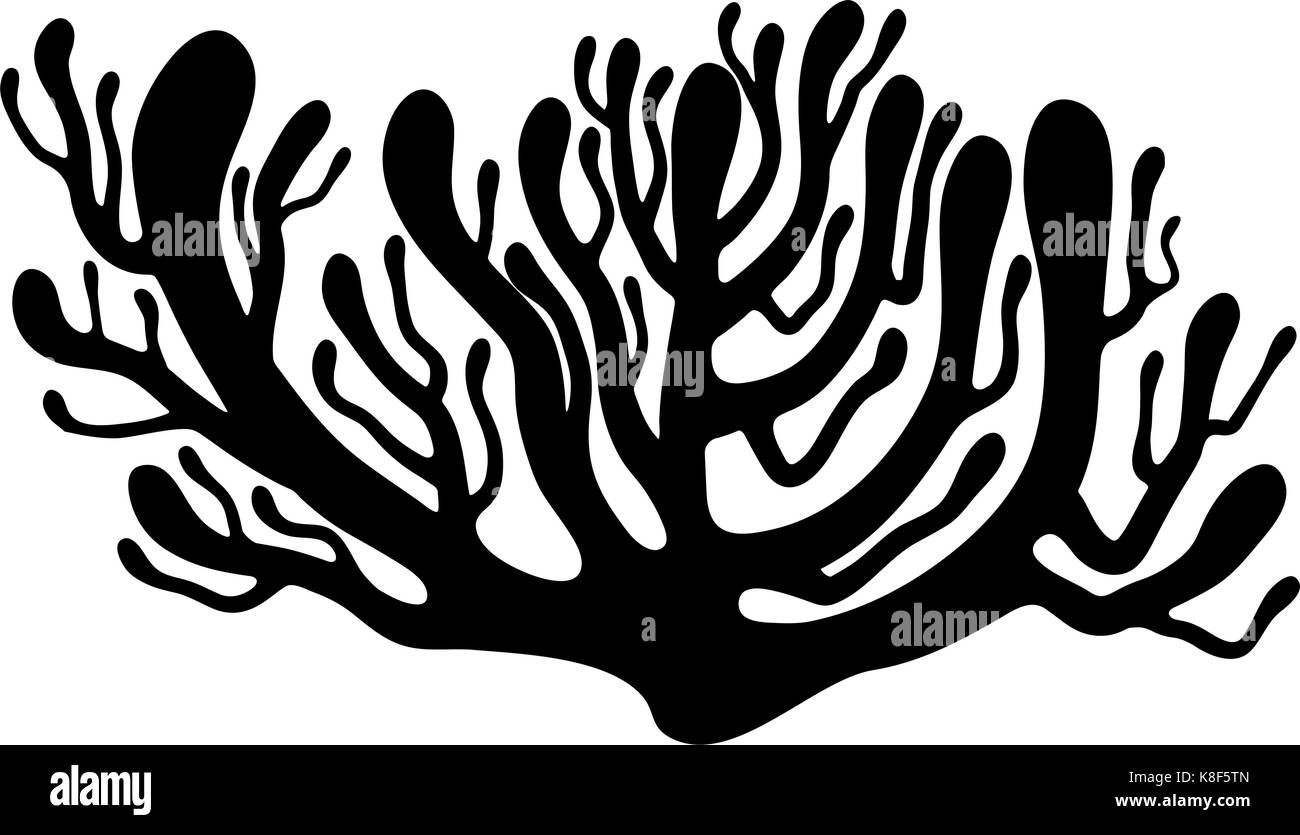 red algae silhouette vector symbol icon design. Beautiful illustration ...