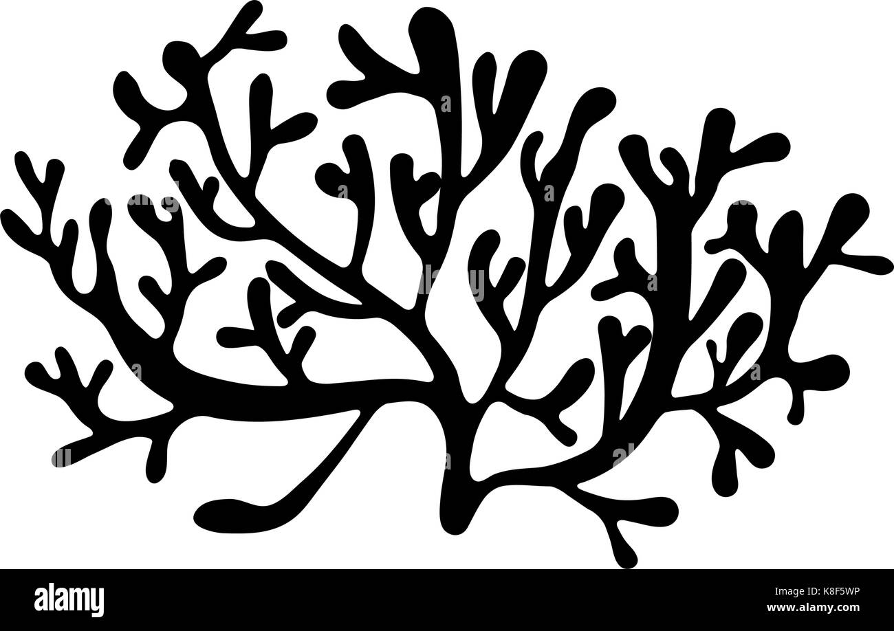 red algae silhouette vector symbol icon design. Beautiful illustration ...