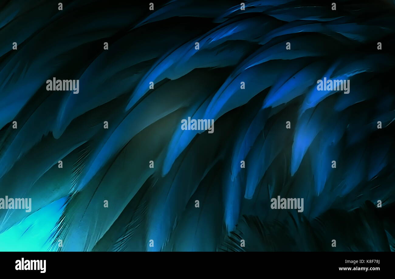 Bird Feathers collage. Photos with graphic effect Stock Photo - Alamy