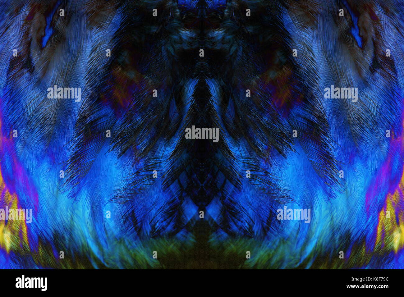 Bird Feathers collage. Photos with graphic effect Stock Photo - Alamy
