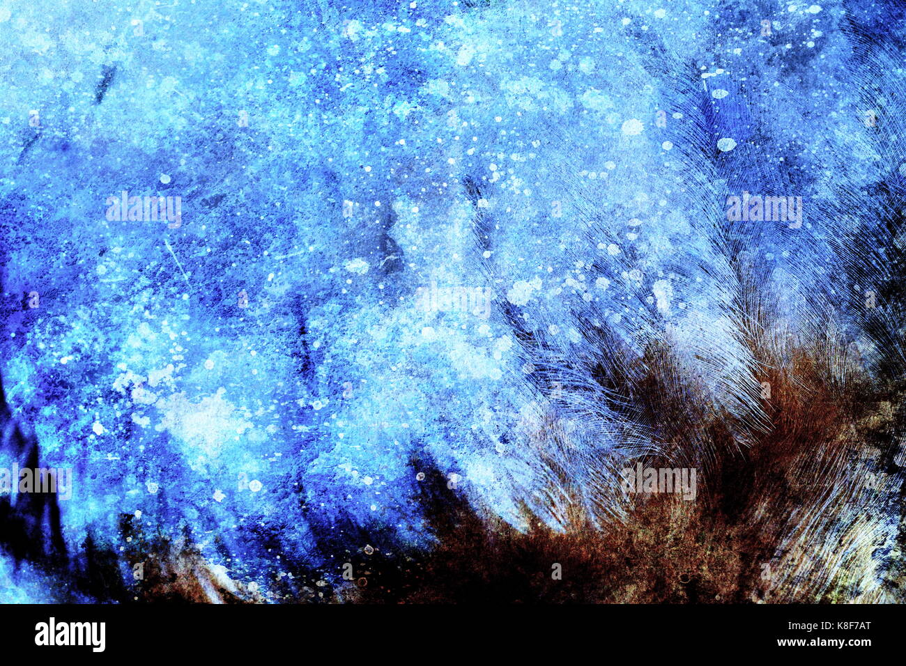 Bird Feathers collage. Photos with graphic effect Stock Photo - Alamy