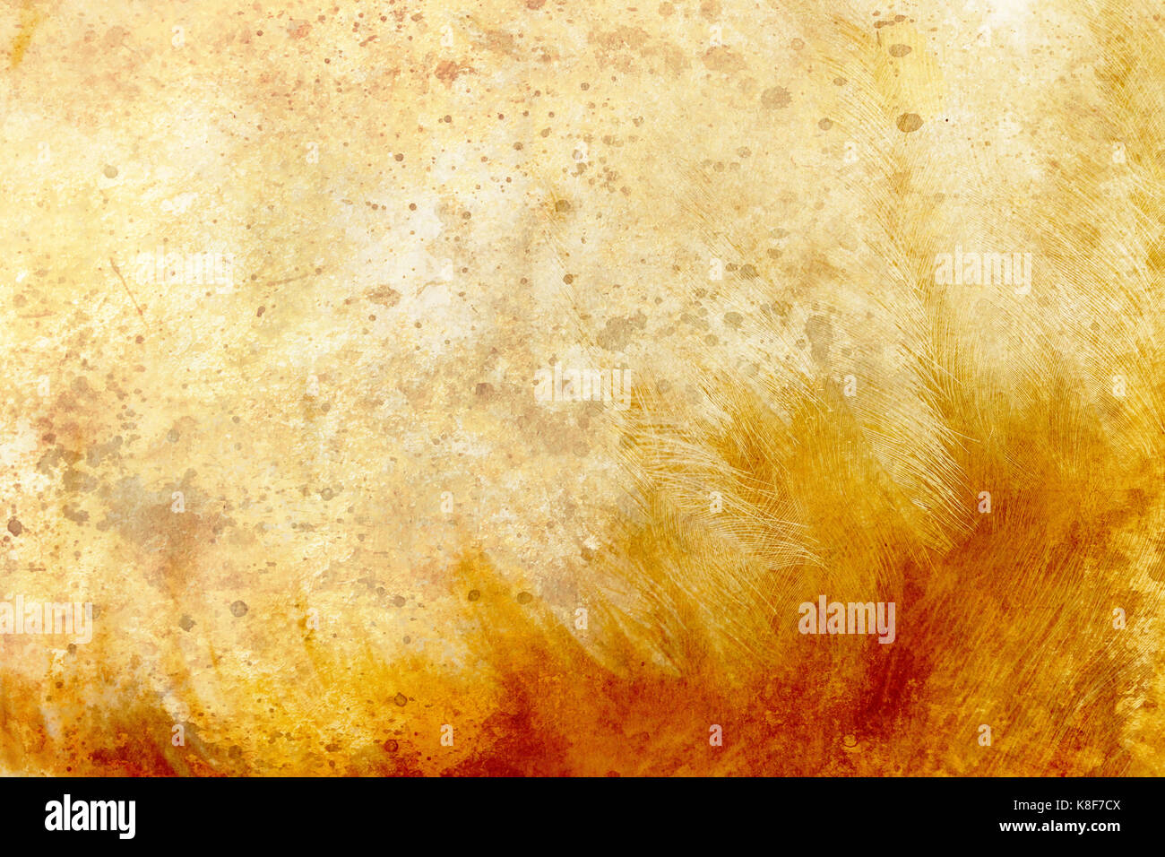 Bird Feathers collage. Photos with graphic effect Stock Photo - Alamy