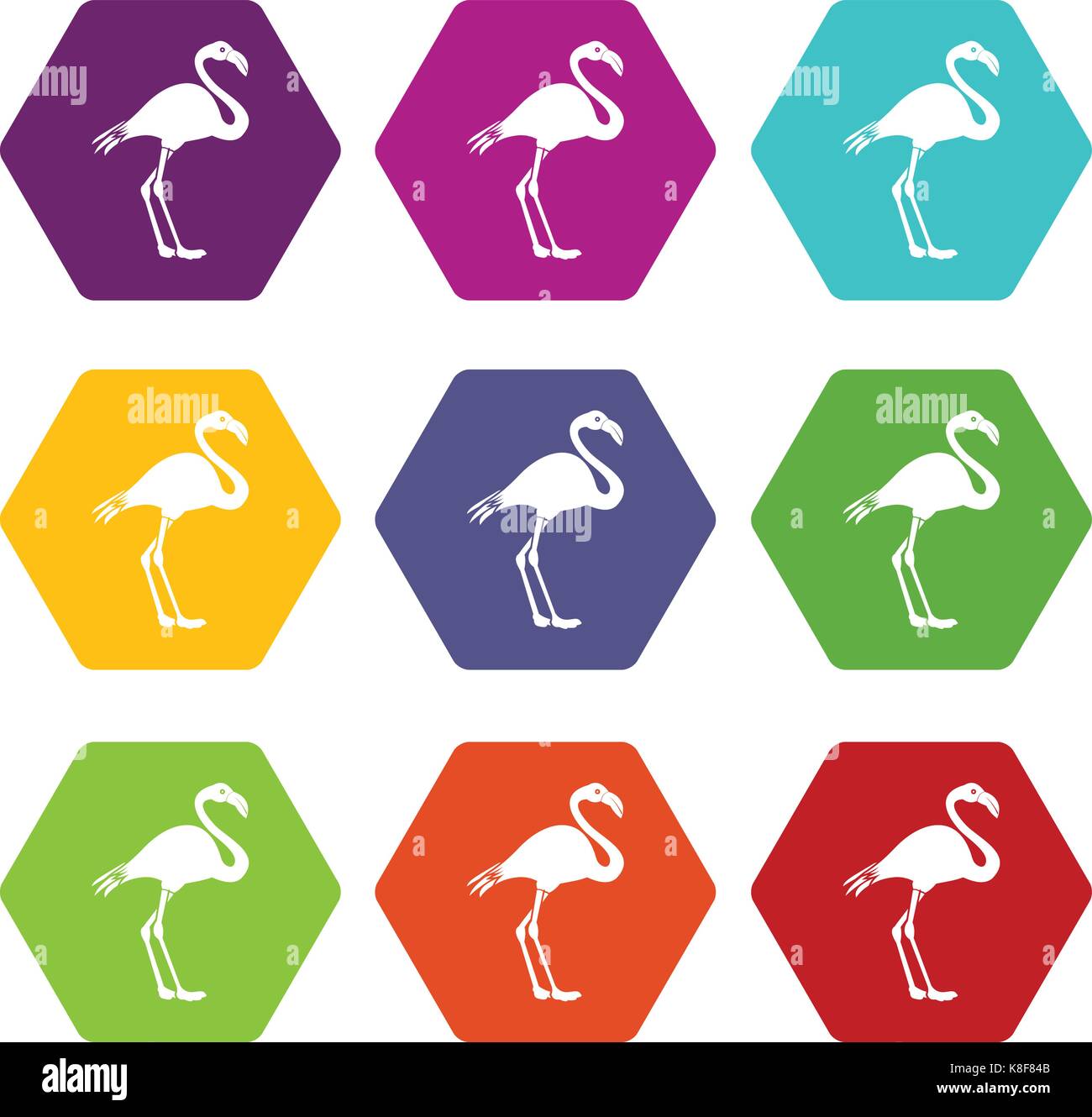 Flamingo feather detail Stock Vector Images - Alamy
