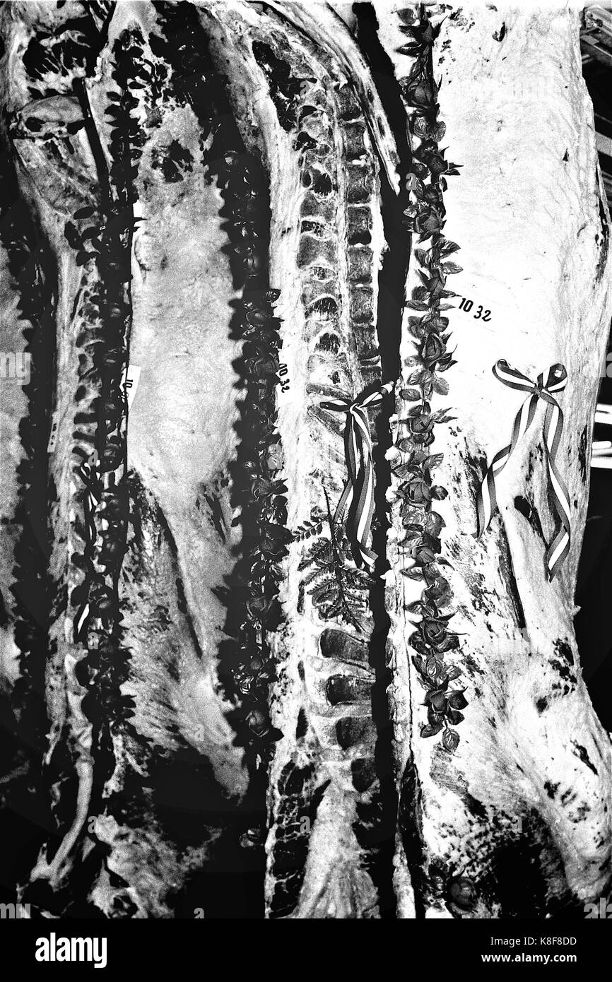 Archive picture archives pictures Black and White Stock Photos & Images ...