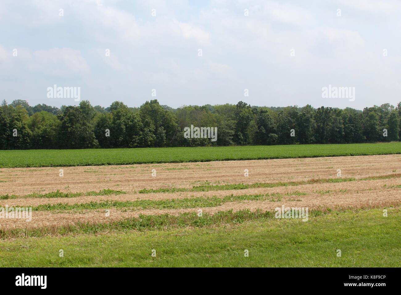 The farmland and landscapes of the state of Pennsylvania Stock Photo ...