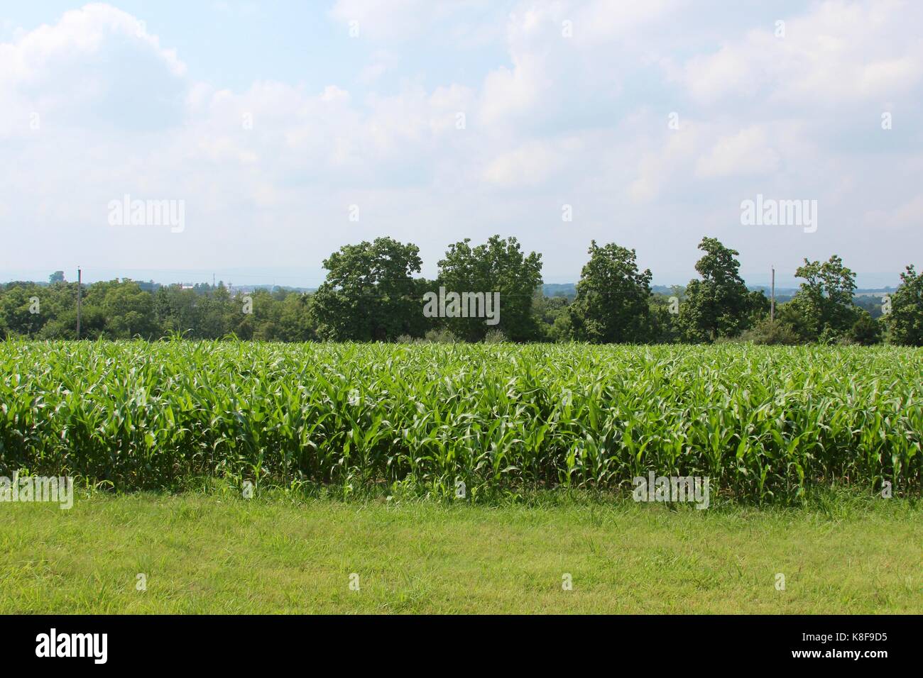 The farmland and landscapes of the state of Pennsylvania Stock Photo ...