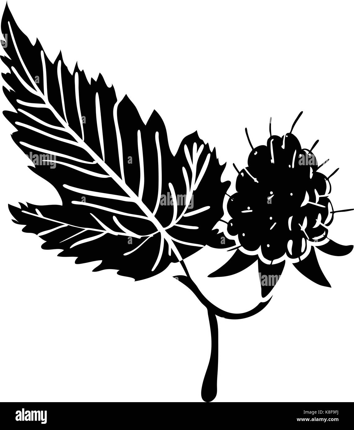 Raspberry icon, simple style Stock Vector Image & Art - Alamy