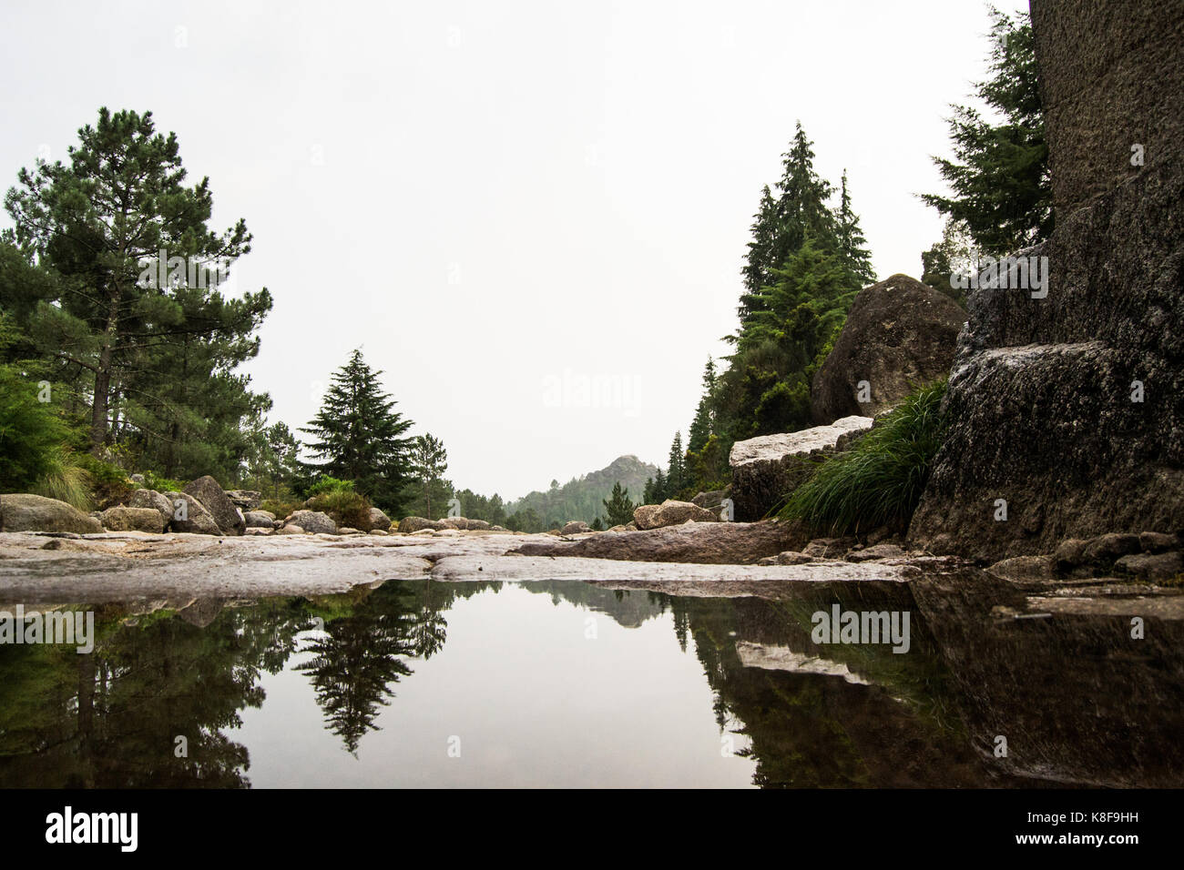 The green reflection Stock Photo - Alamy
