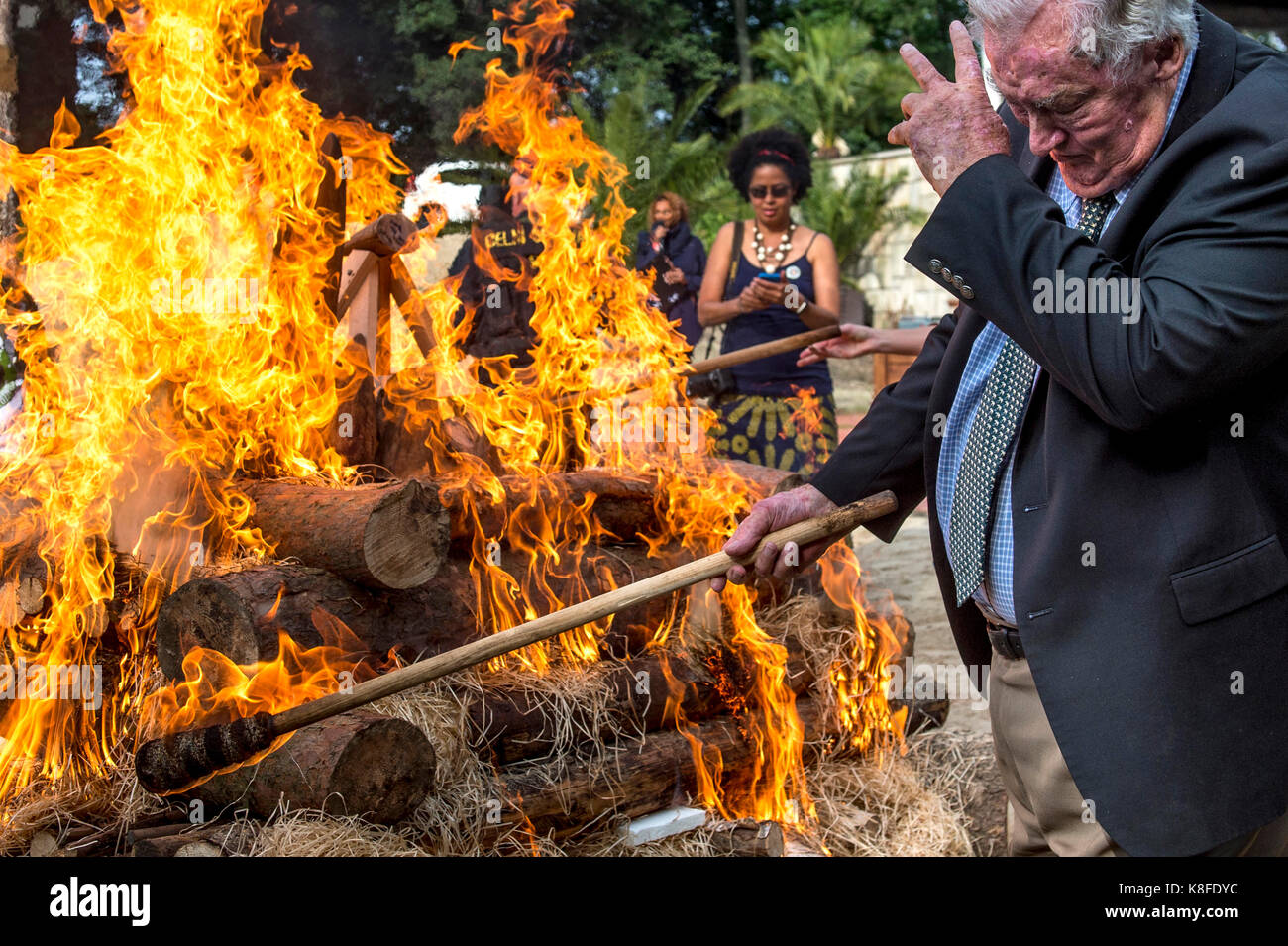 Rhino horns fire hi-res stock photography and images - Alamy