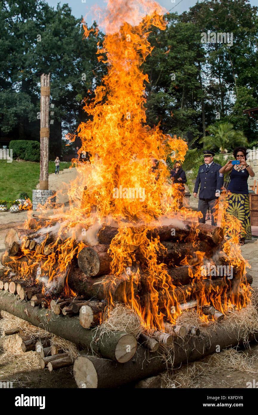 Rhino horns fire hi-res stock photography and images - Alamy