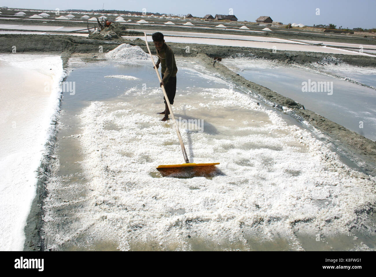 Worker shovelling salt at Salt Pans Hambantota Stock Photo - Alamy