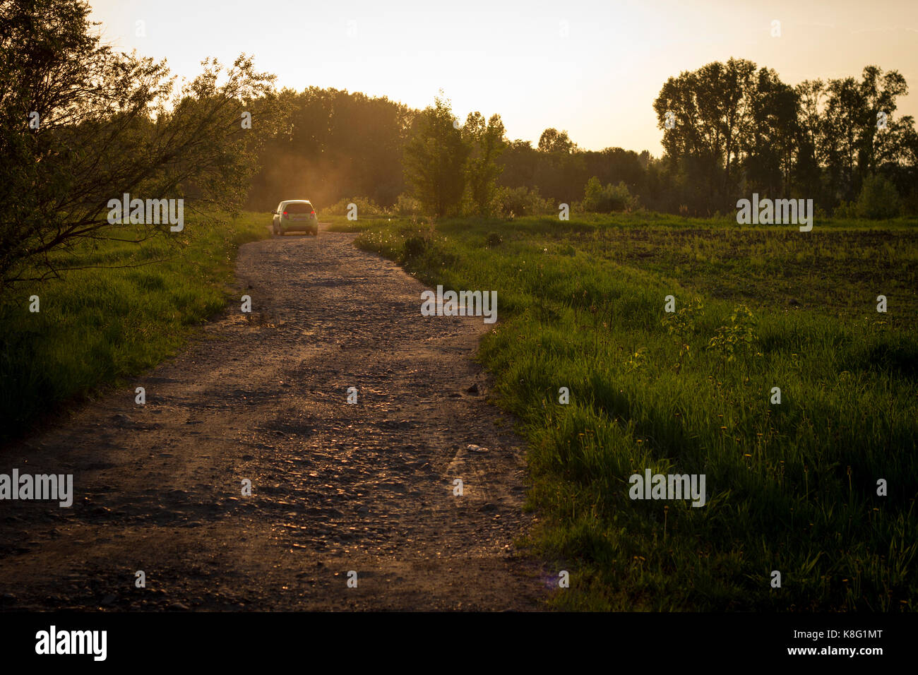 Driving into sunset summer hi-res stock photography and images - Alamy