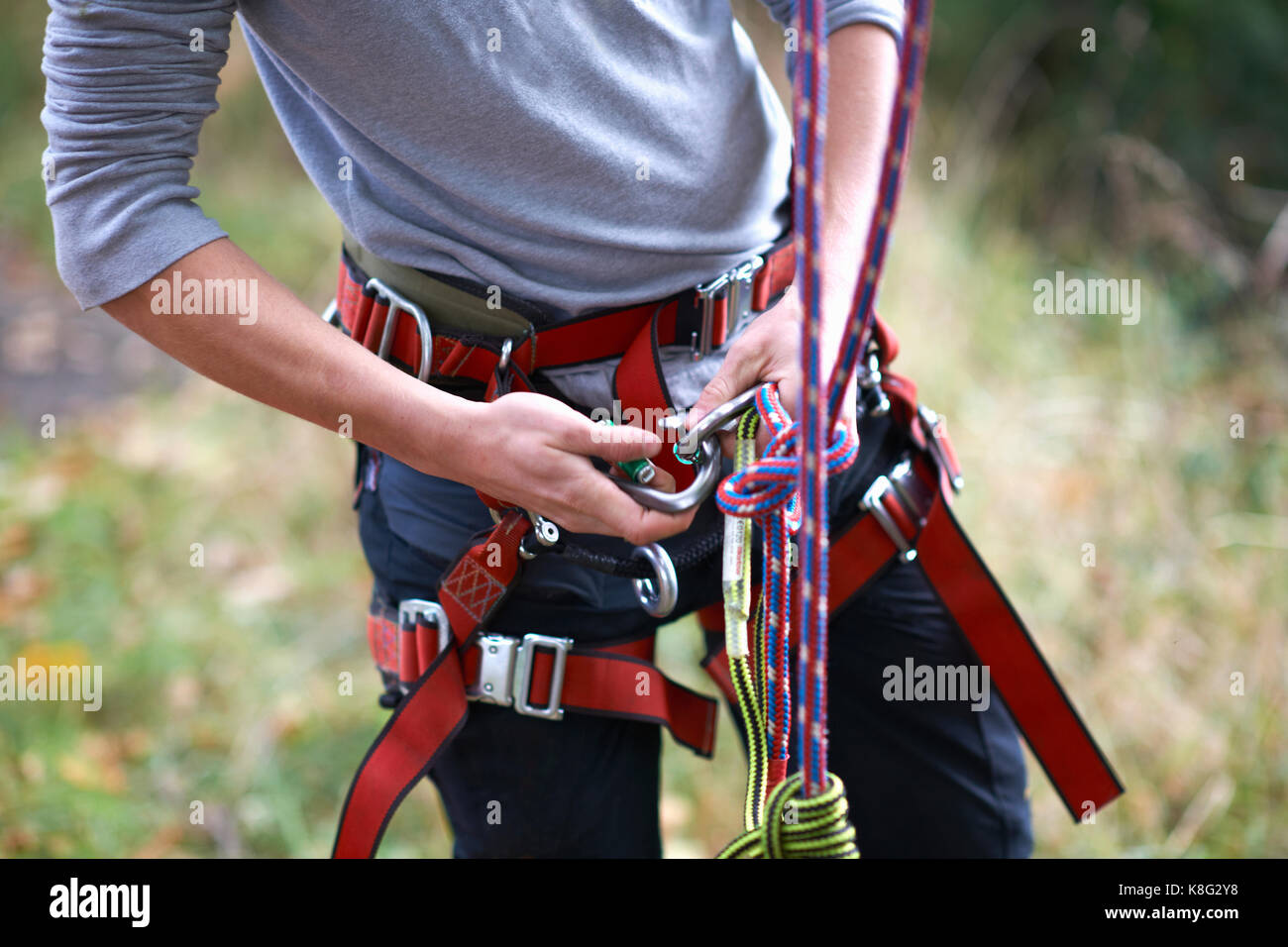 Mid section of young male trainee tree surgeon fastening safety harness ...