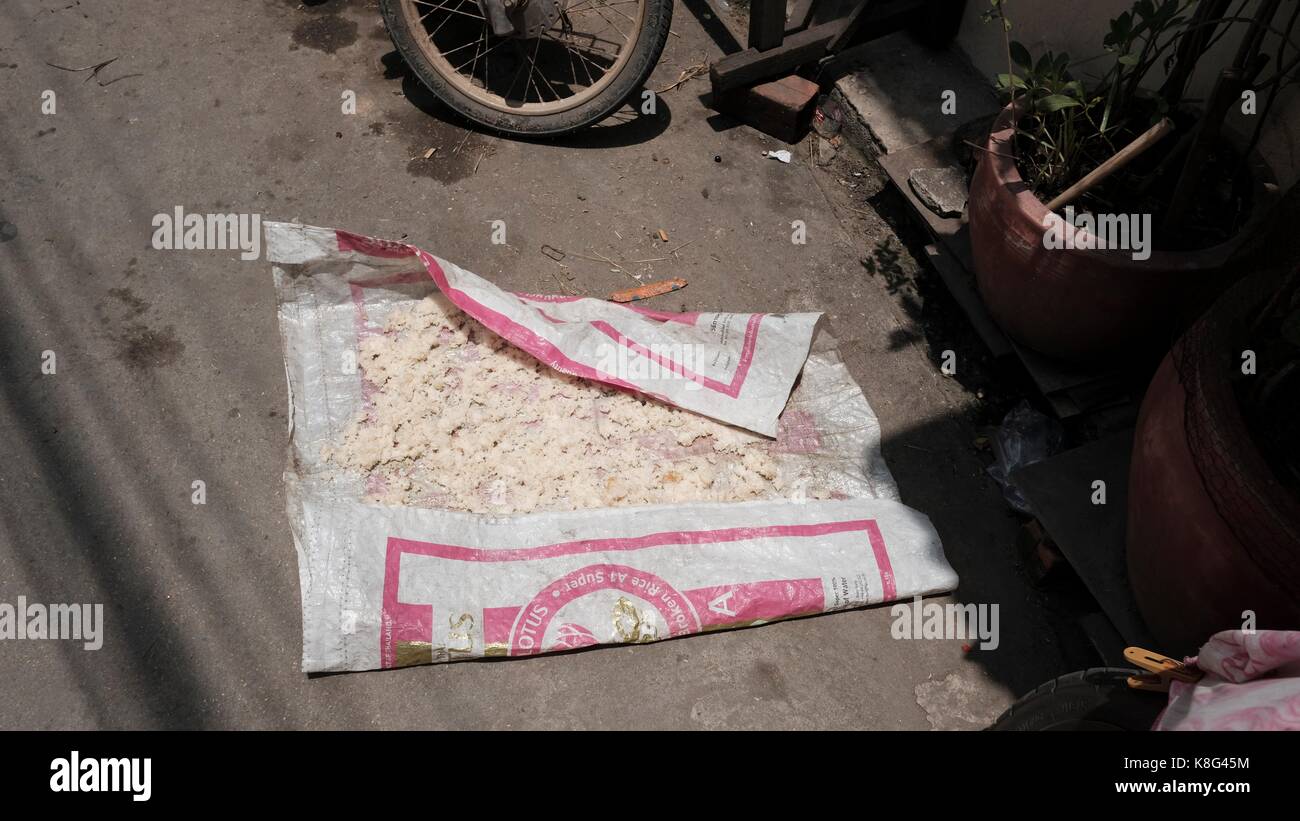 Rice Drying in Roadway Poor People living in Wooden Shacks Poverty ...