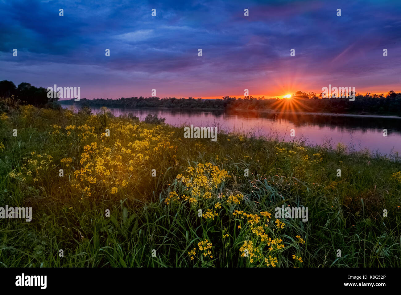 Vivid landscape hi-res stock photography and images - Alamy