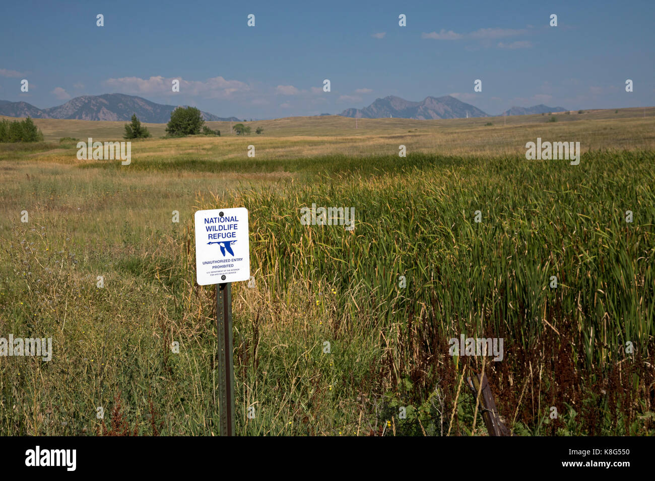 Rocky flats plant hi-res stock photography and images - Alamy