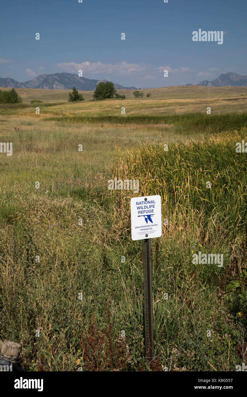 Rocky flats plant hi-res stock photography and images - Alamy