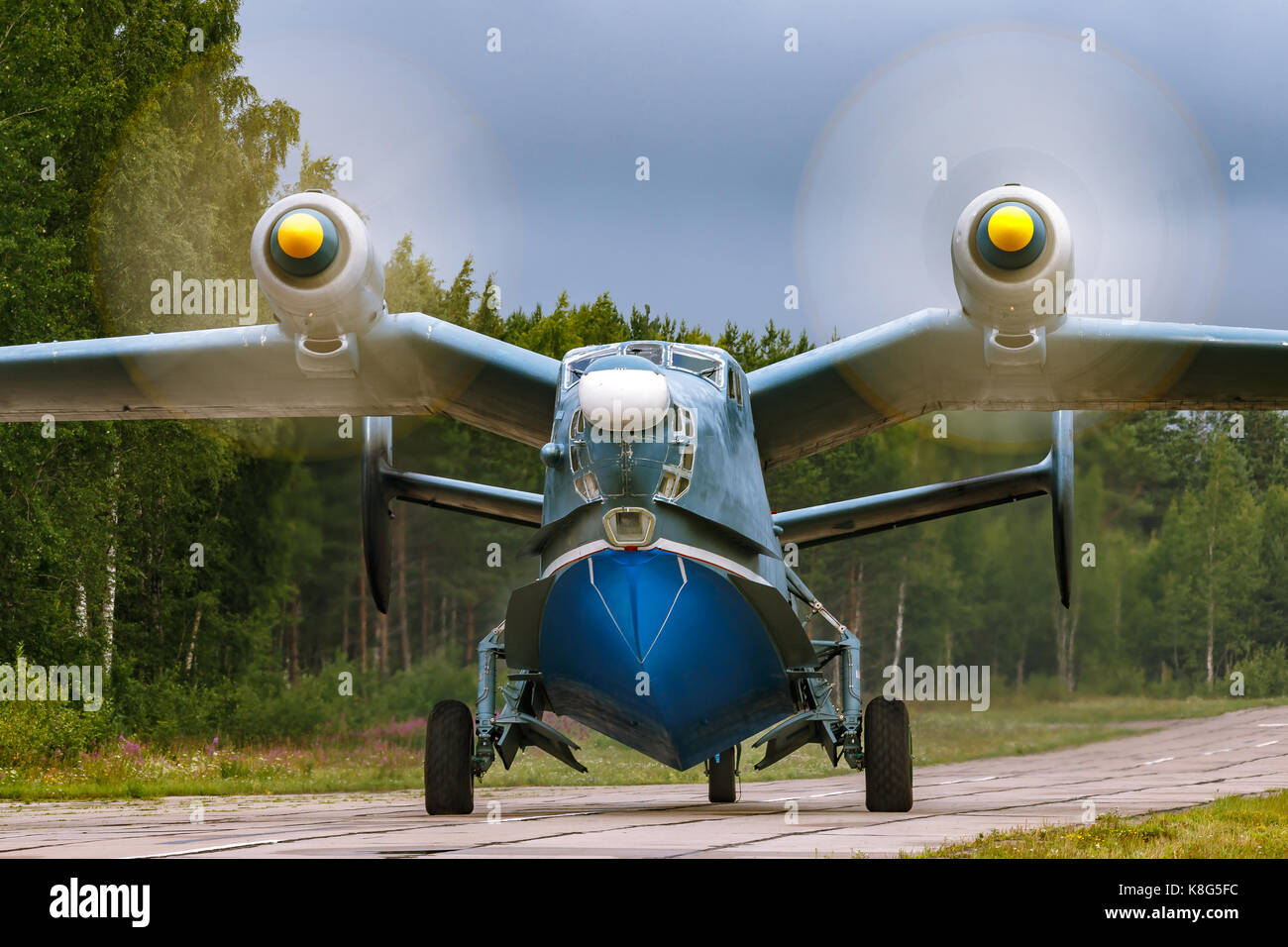 Beriev Be-12 flying boat military plane Stock Photo - Alamy