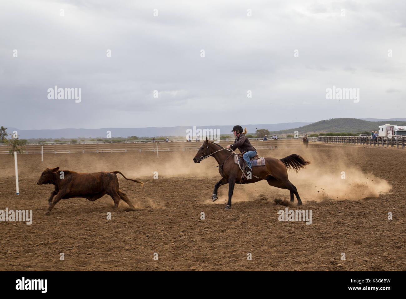 Campdraft hi-res stock photography and images - Alamy