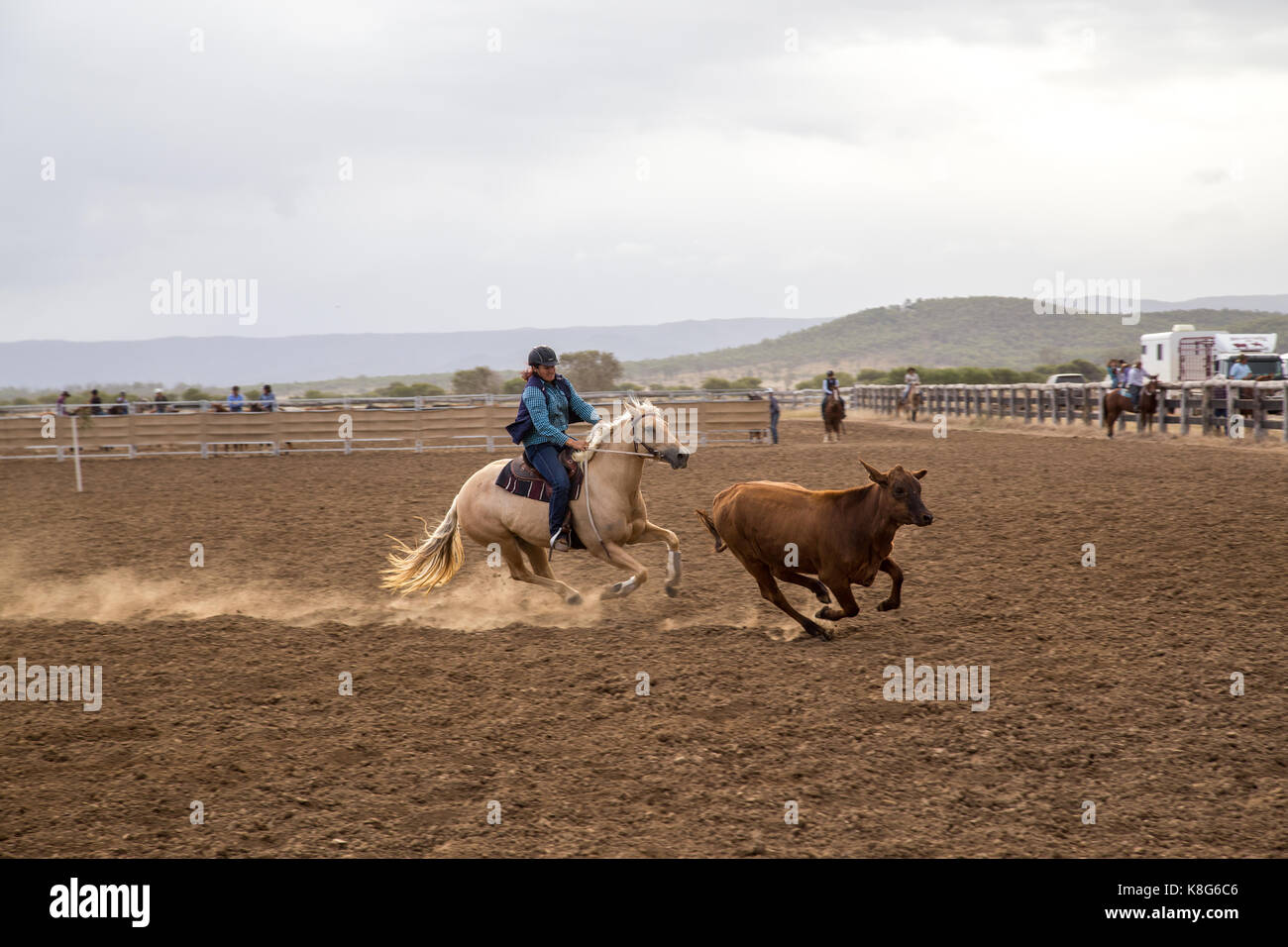 Australian Campdraft Competition Stock Photo - Alamy