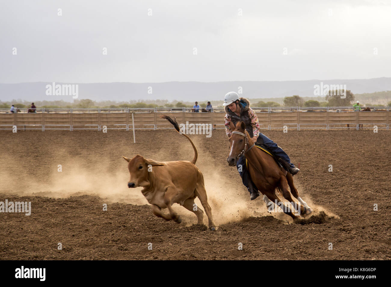 Campdraft hi-res stock photography and images - Alamy