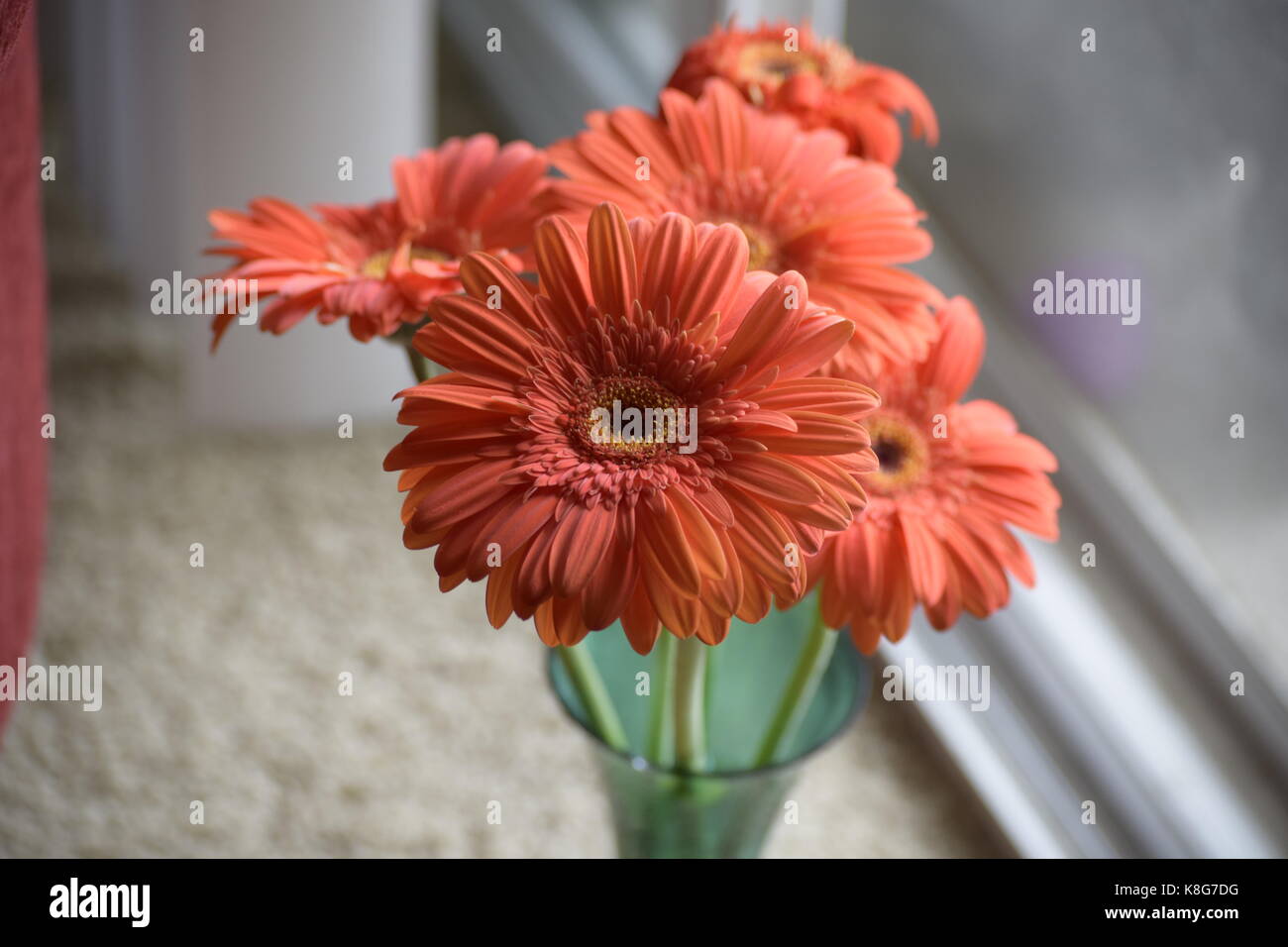 Spring smells hi-res stock photography and images - Alamy