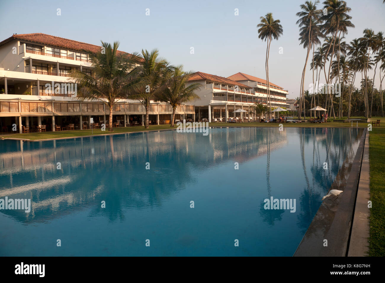 blue water hotel wadduwa western province sri lanka Stock Photo - Alamy