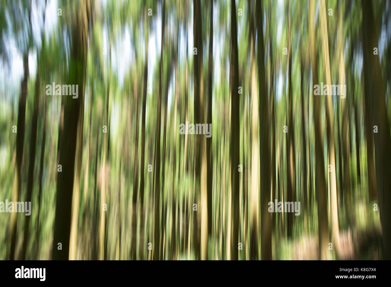 Tree Blur Effect motion background Stock Photo - Alamy