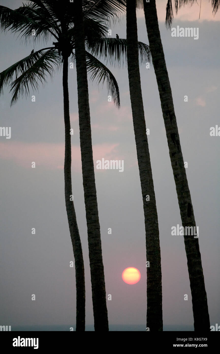 sunset wadduwa western province sri lanka Stock Photo - Alamy