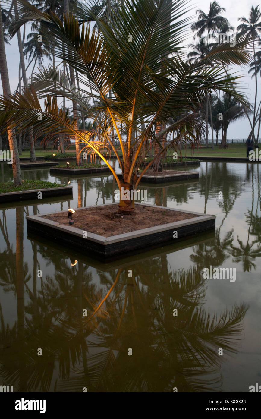 blue water hotel wadduwa western province sri lanka Stock Photo - Alamy