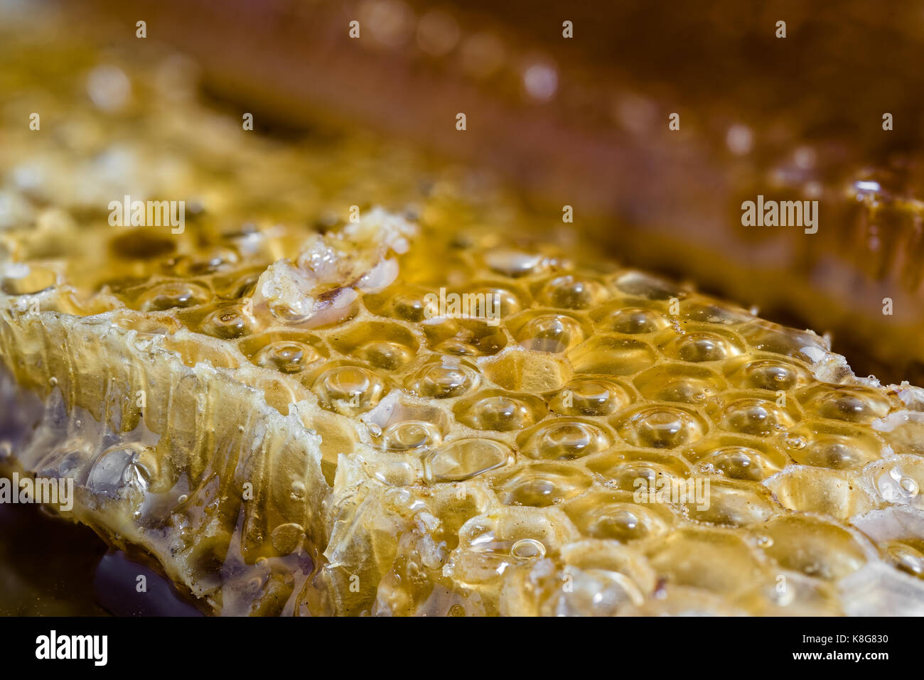 Close view of honeycomb Stock Photo - Alamy