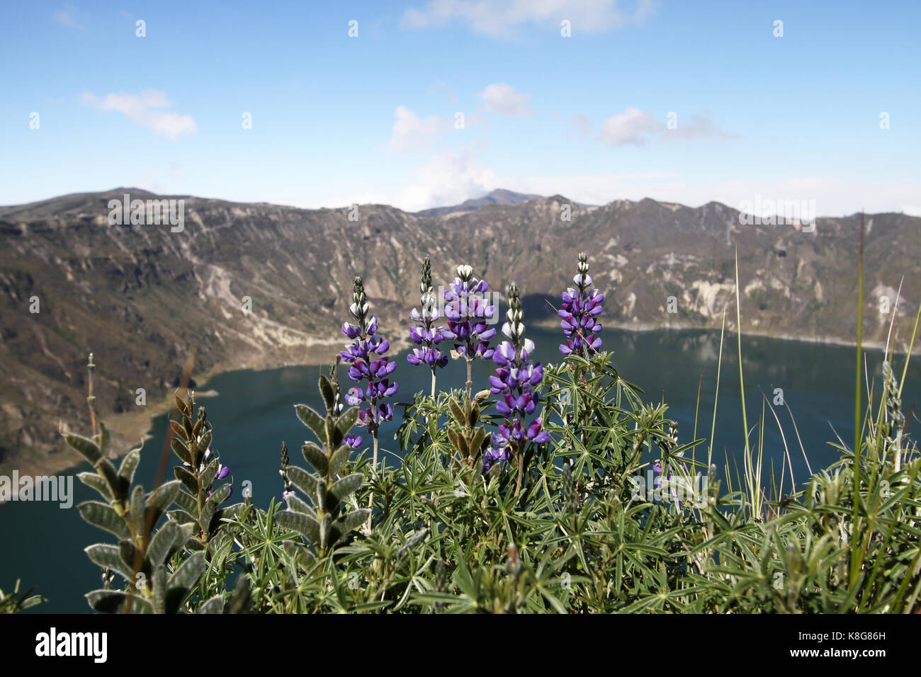 Crater Lake Quilotoa Volcano Stock Photo - Alamy