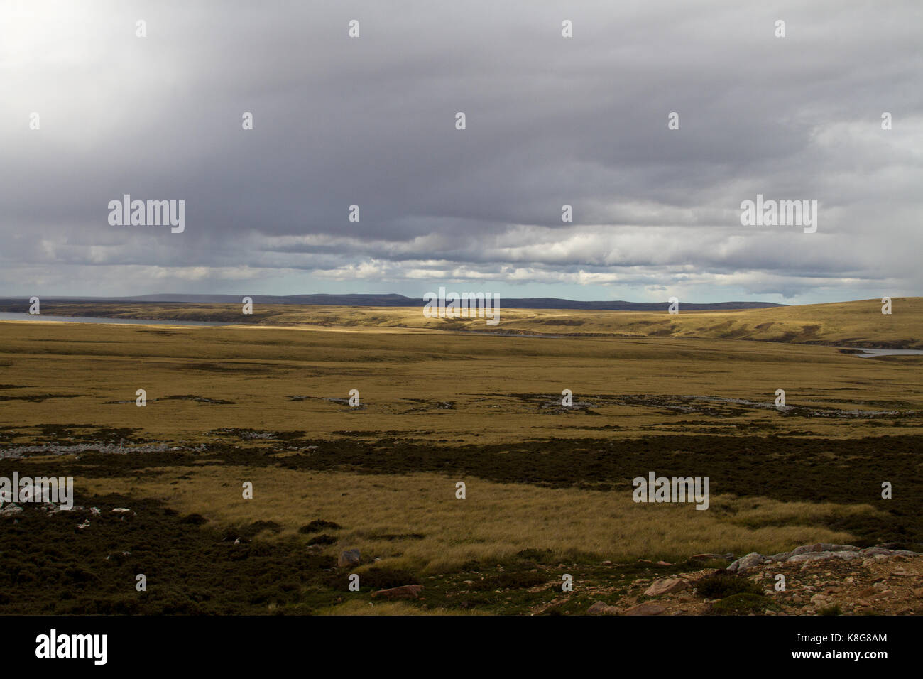 Falkland Islands Landscape Stock Photo - Alamy