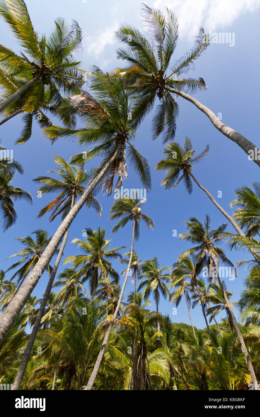Tayrona national park cartagena hi-res stock photography and images - Alamy