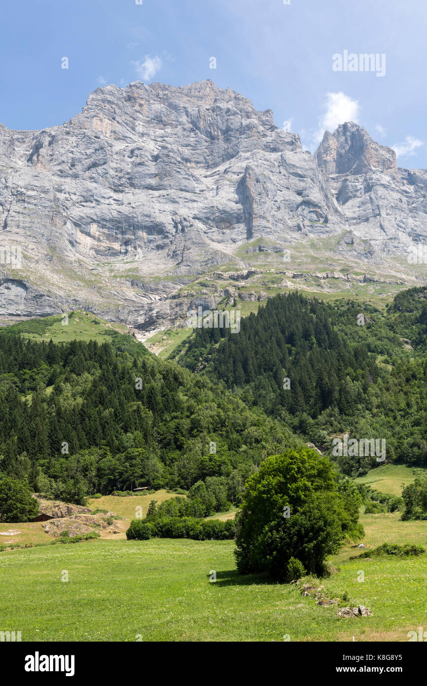 Farmland in the Alps in Switzerland Stock Photo - Alamy