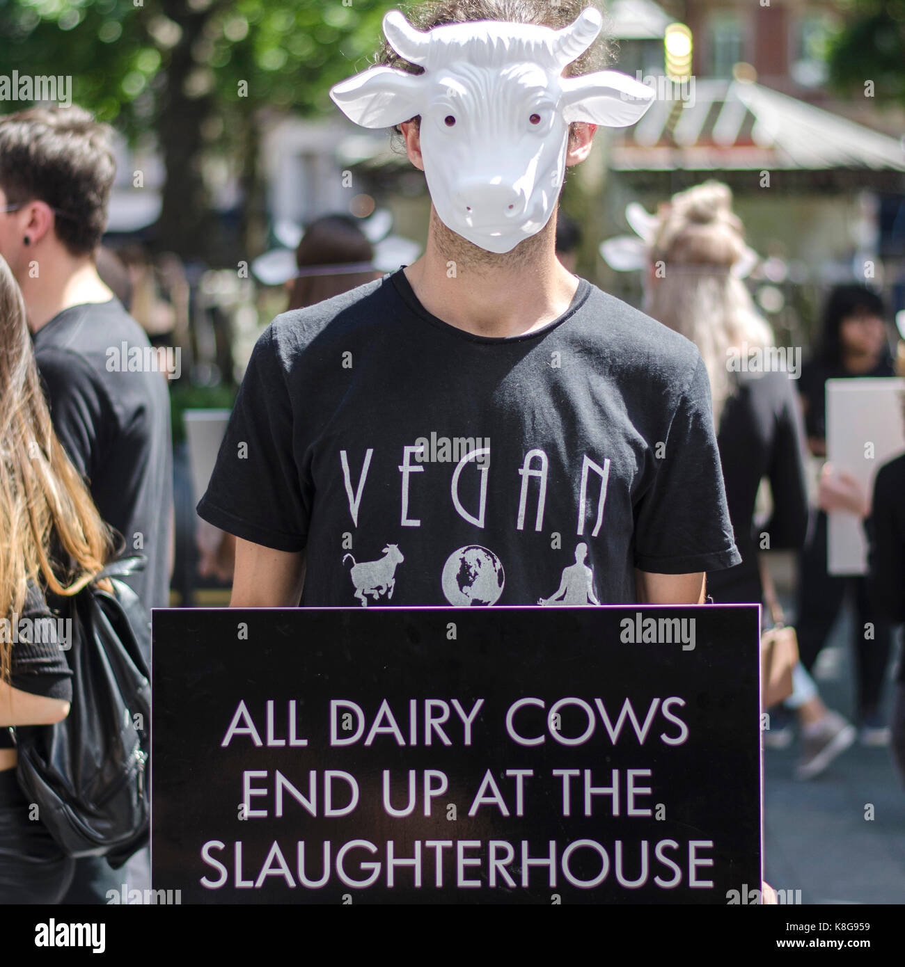 Vegan Protest - Down with Dairy Stock Photo - Alamy
