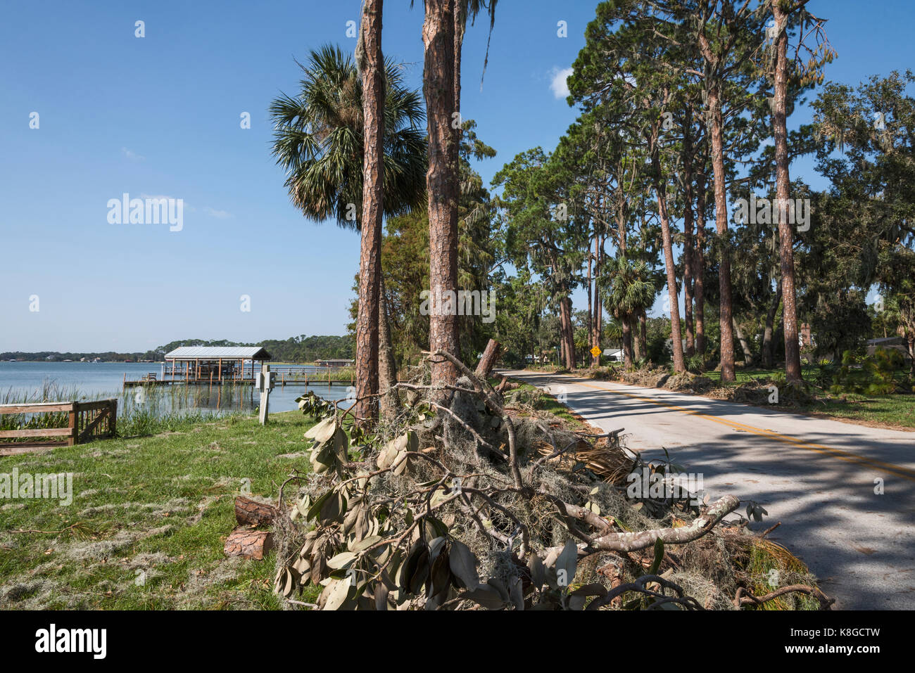 Irma Hurricane Debris Mount Dora, Florida USA Stock Photo - Alamy