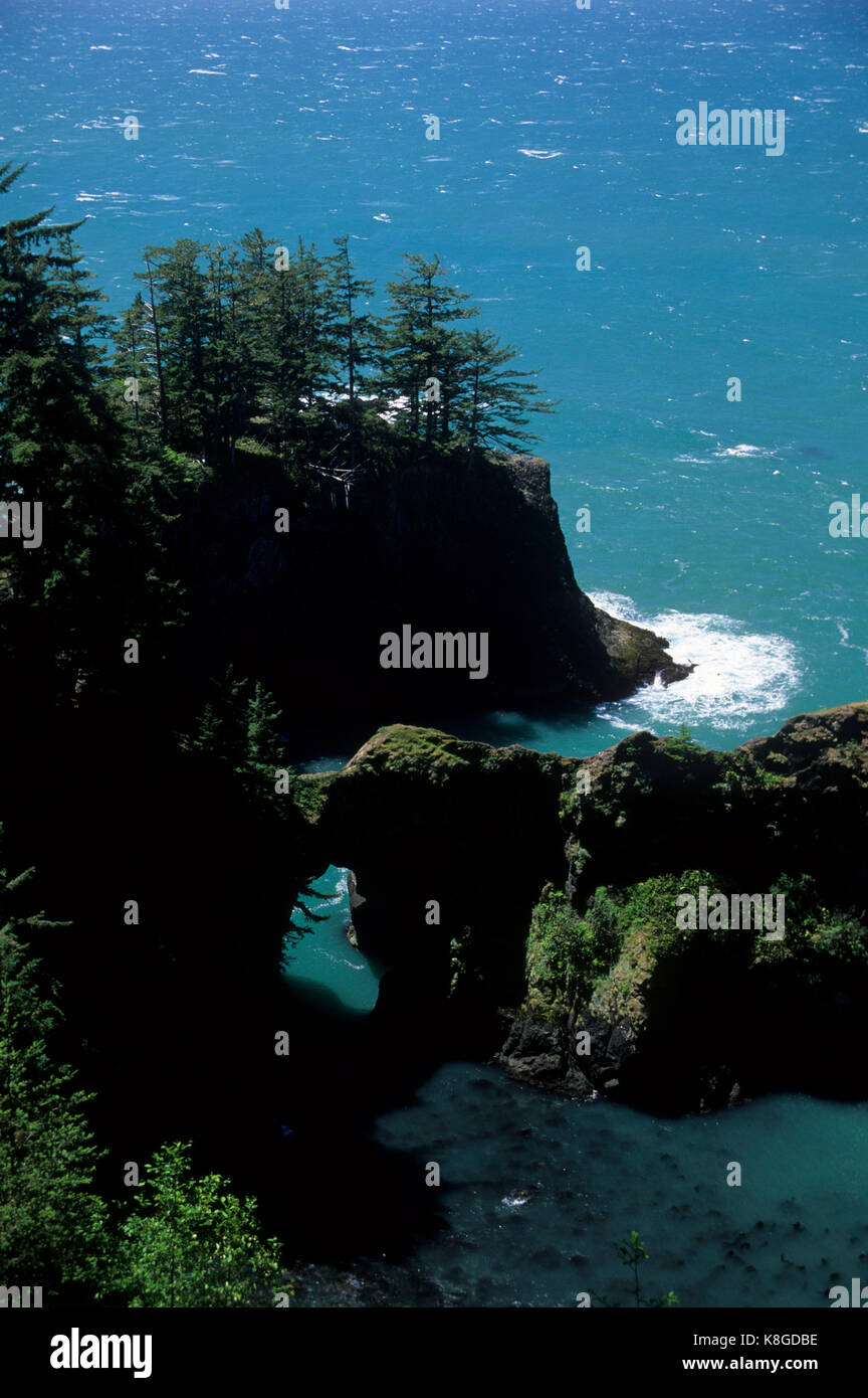 Natural Bridges Cove, Samuel Boardman State Park, Oregon Stock Photo ...
