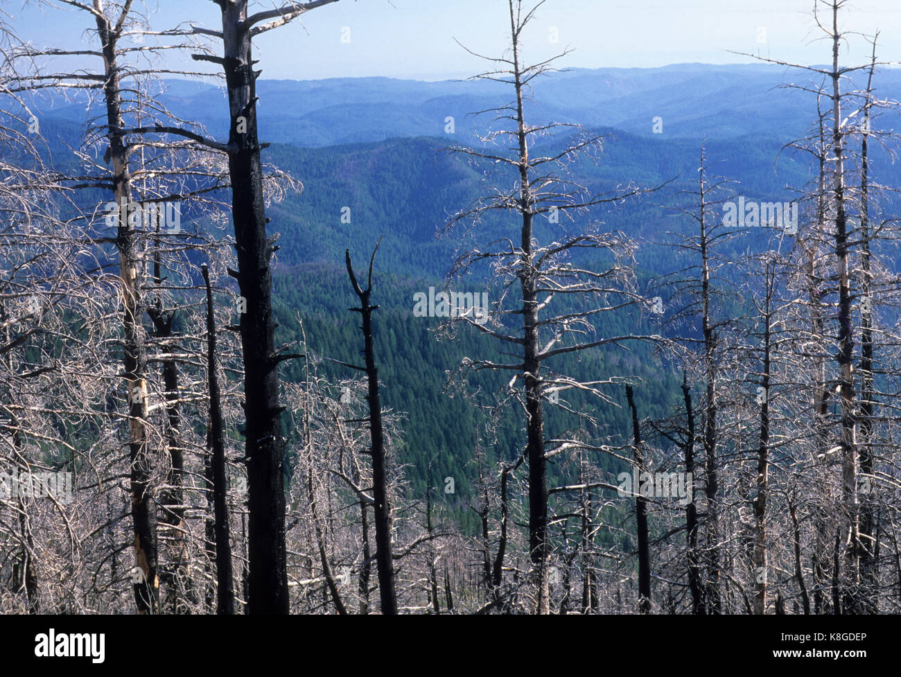 Biscuit fire hi-res stock photography and images - Alamy