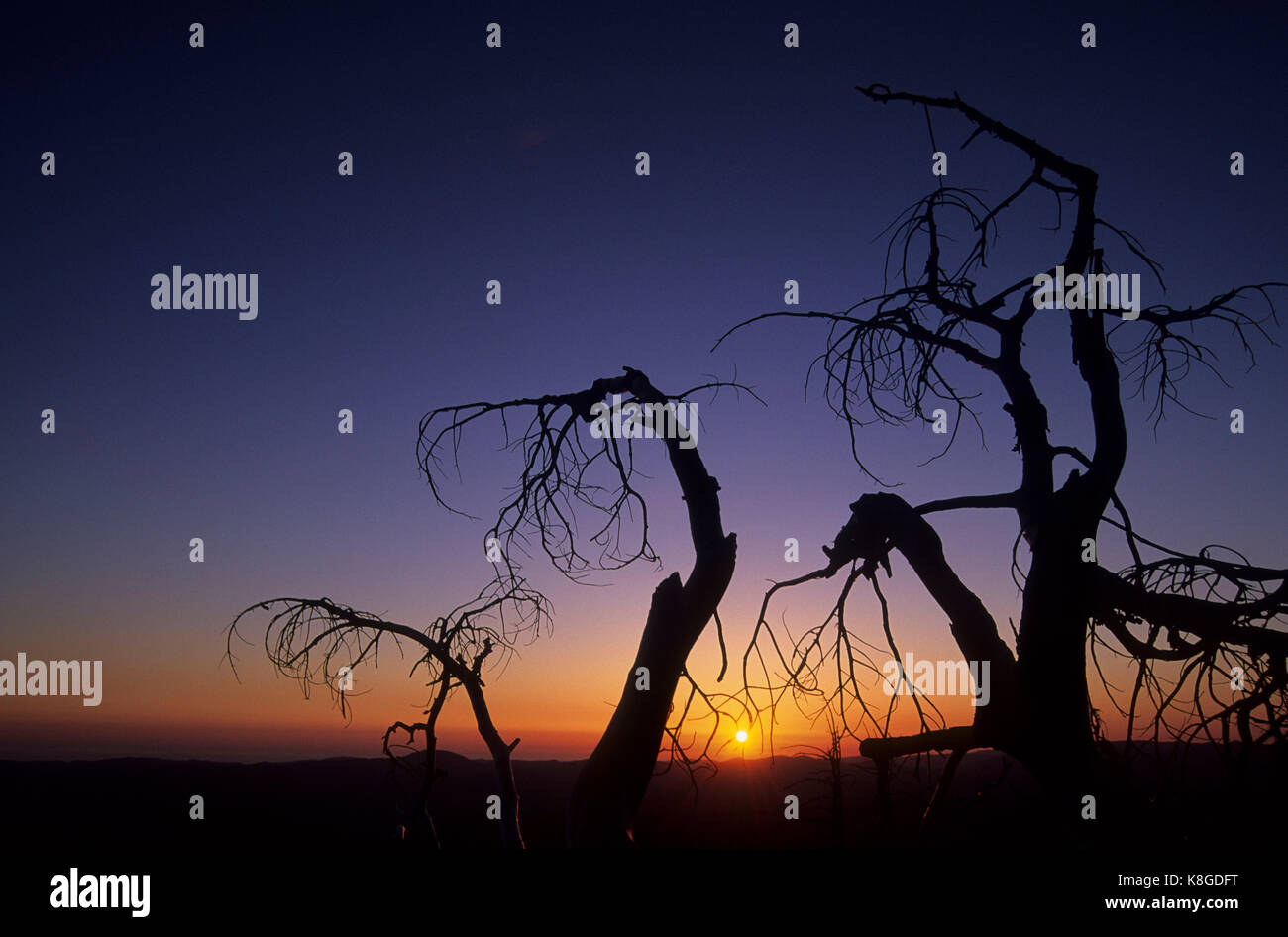Biscuit Fire sunset on Vulcan Peak Trail, Kalmiopsis Wilderness ...