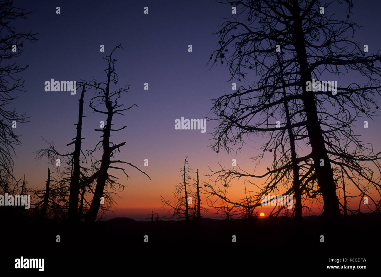 Biscuit Fire sunset on Vulcan Peak Trail, Kalmiopsis Wilderness ...