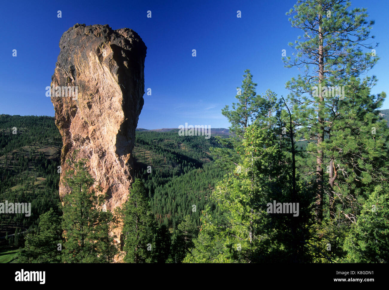 Ochoco National Forest High Resolution Stock Photography and Images - Alamy