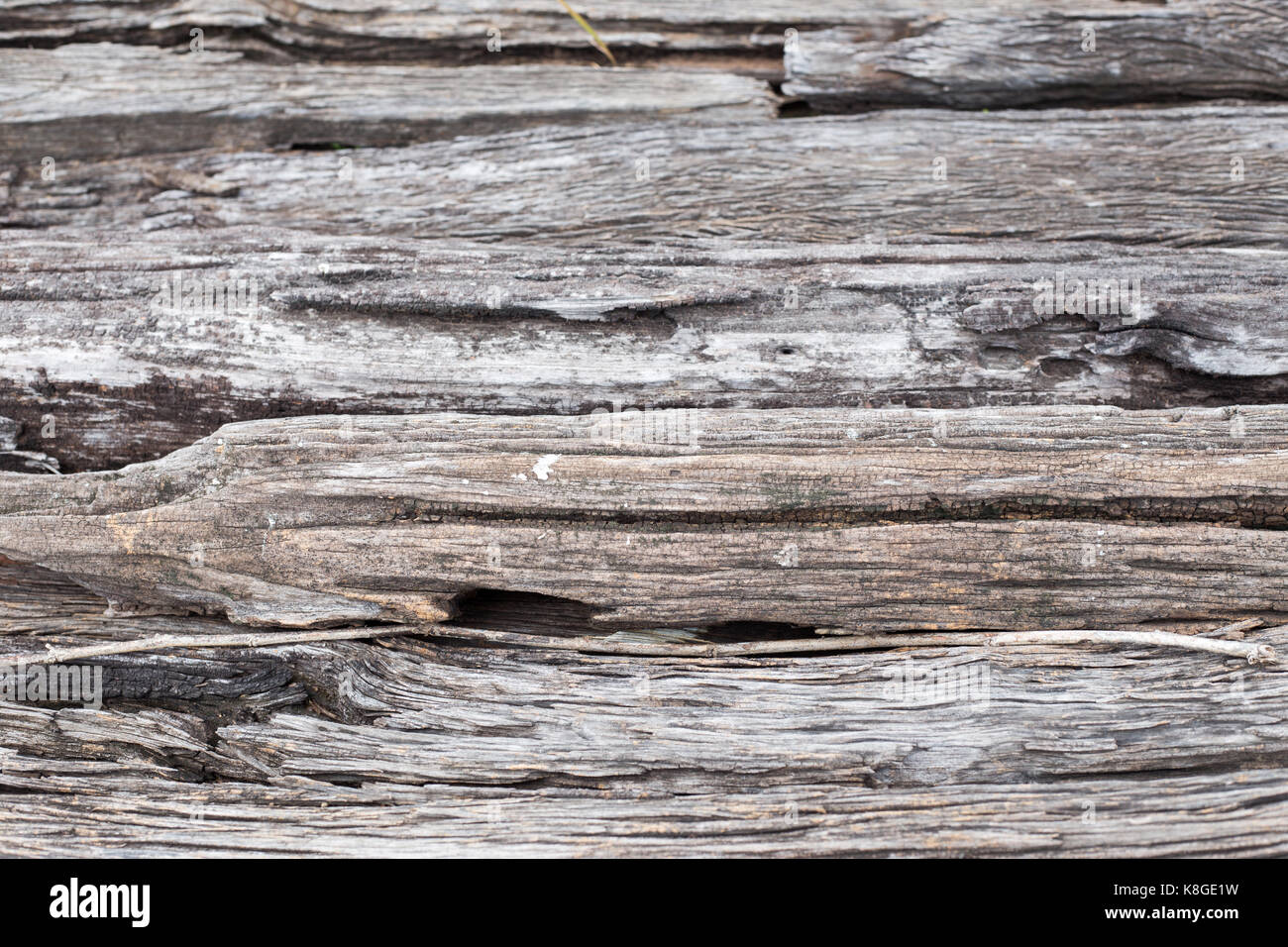 close up old wood texture abstract background in unique surface Stock ...