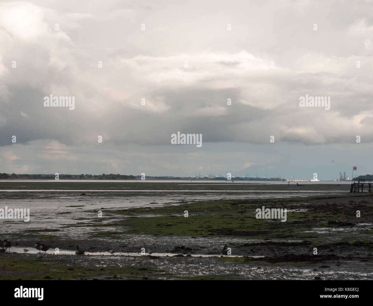 beautiful estuary scene outside ground stream tide out Stock Photo - Alamy