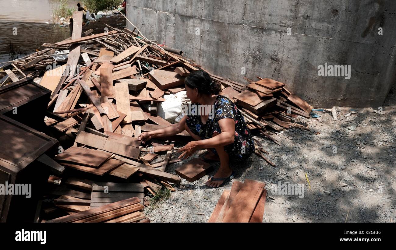 Lady working in woodpile Phnom Penh Cambodia Cambodia Bassac River Area ...