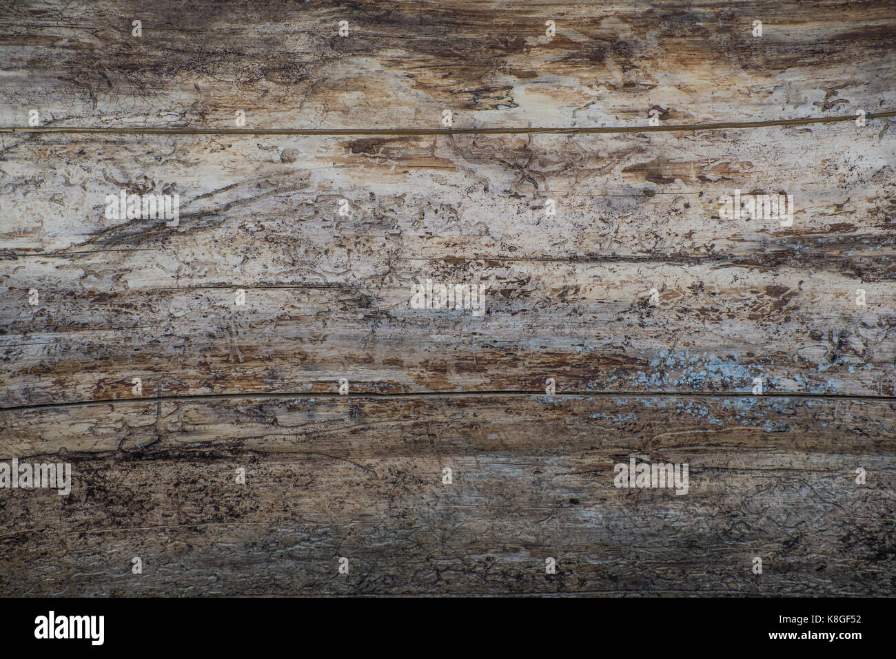 Dark brown horizontal lines hi-res stock photography and images - Alamy