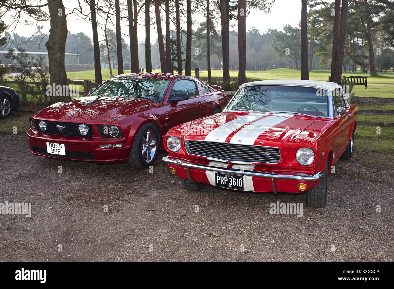 Pair of ford mustangs hi-res stock photography and images - Alamy
