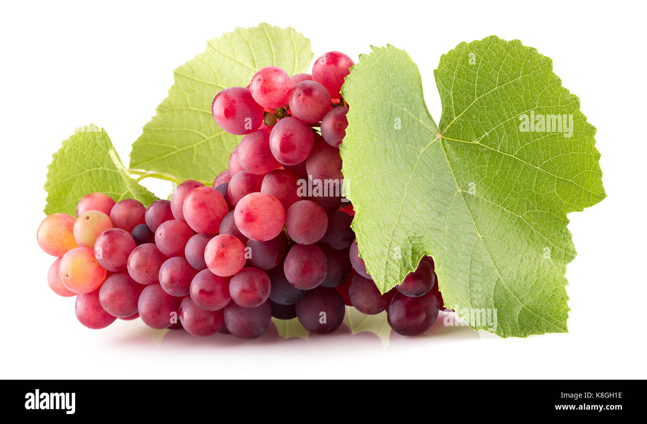 red grapes isolated on a white background Stock Photo - Alamy