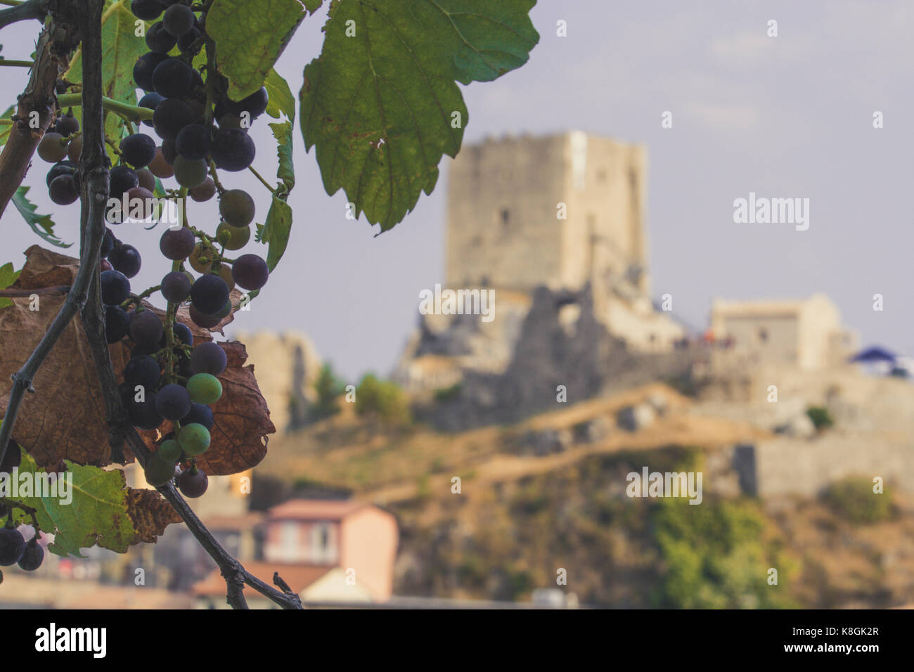 D'Aquino's Castle, Belcastro (CZ), Italy Stock Photo - Alamy