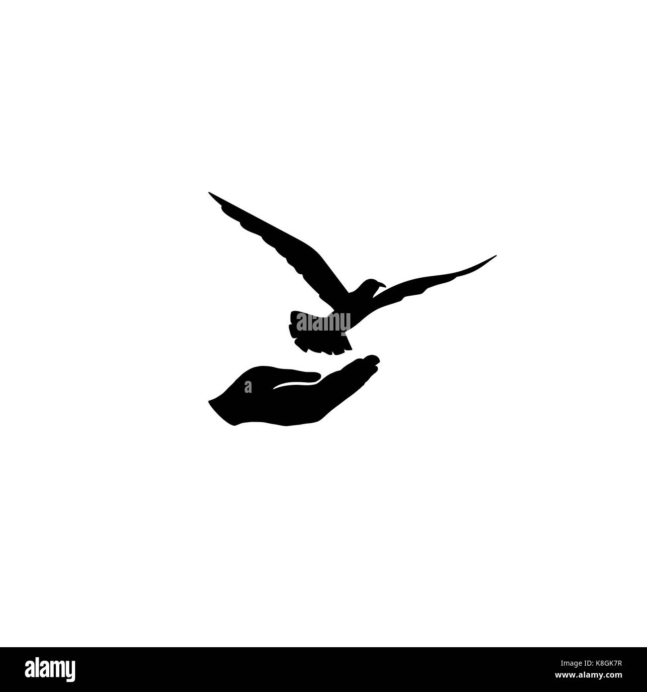 Dove bird free with hand. Bird flighing. Peace symbol. Pigeon and hand ...